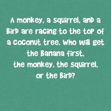 A Monkey, a Squirrel, and a Bird are Racing... | DoYouRemember?