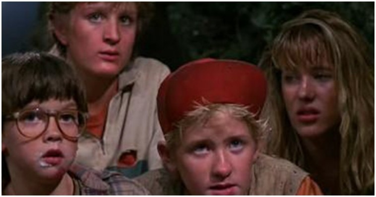 Remember ‘Honey, I Shrunk The Kids?’ This Is How The Cast Look Now - Do ...